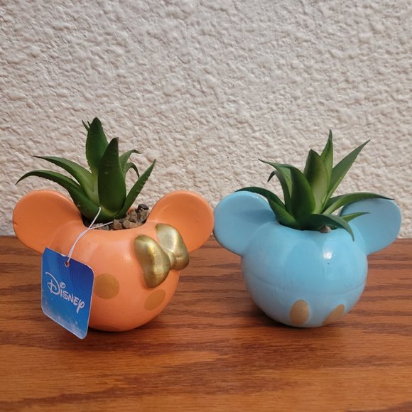 Disney | Accents | Mickey Minnie Faux Succulent Terramium Set Of 2 Mini ...